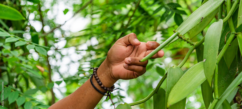 Human Rights Policy | ADM